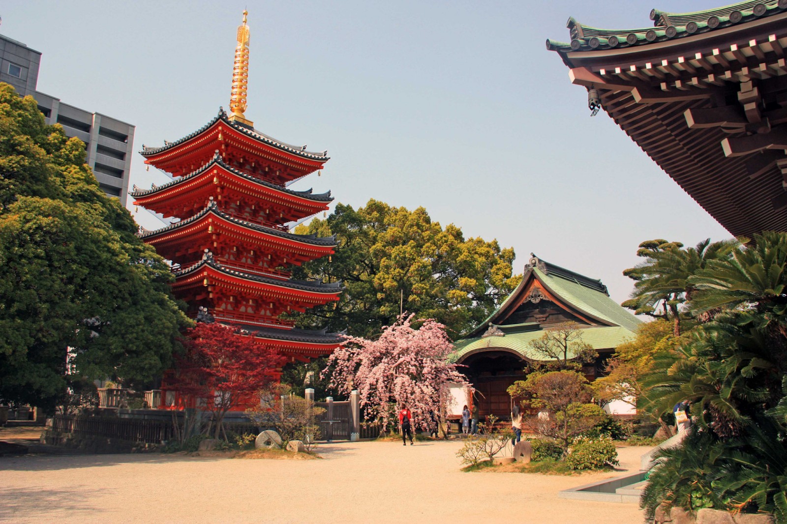 10 days Land of Samurai Tour